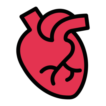 Division of adult cardiology – Uganda Heart Institute